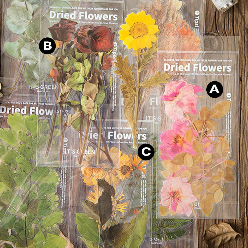 Vintage Dried Flowers Decorative Transparent Stickers - 6 sheets in a ...