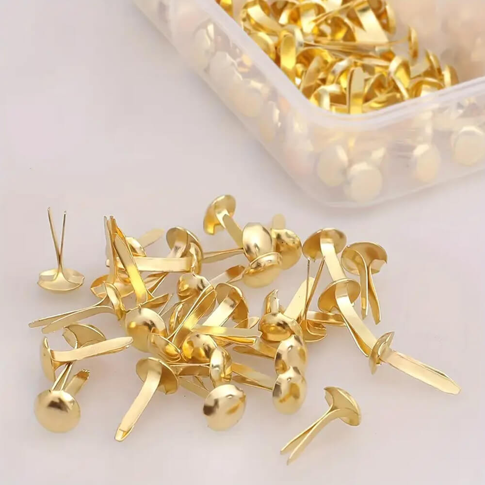 Split Clip Fasteners, Brass Plated, 25mm - 60pcs/Box – Bhav Shop